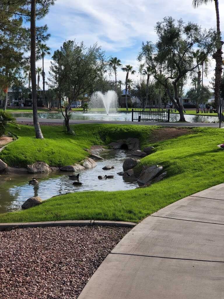PalmCreekInfo.com